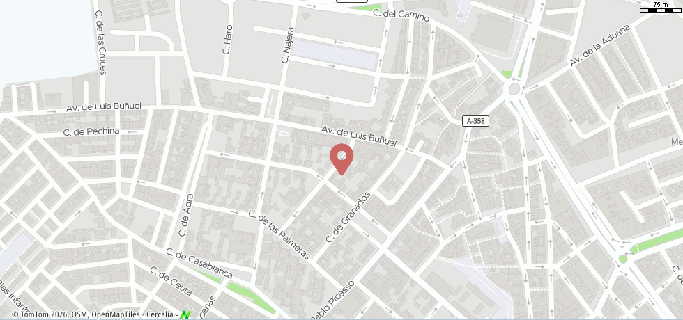 Piso en venta en Calle de los Olivos en Centro por 33.000